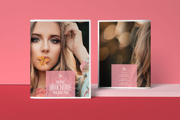 Back Cover Square Catalog Mockup (FREE) - Resource Boy