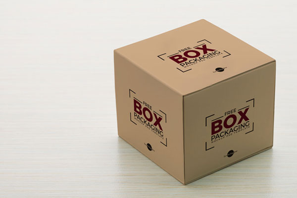 Front-View Cardboard Box Packaging Mockup (FREE) - Resource Boy