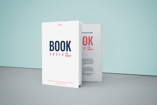 Mockup of 2 Standing Book Covers Free Download | Resource Boy