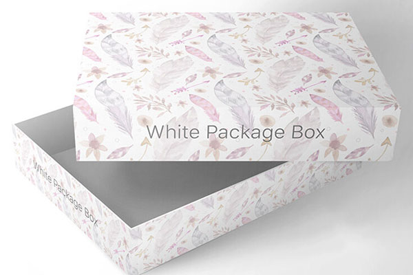 Opened Cardboard Horizontal Packaging Box Mockup Free Download ...
