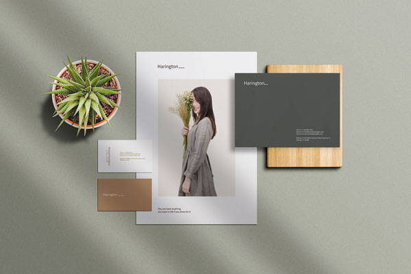 Movable Brand Identity Mockup (FREE) - Resource Boy