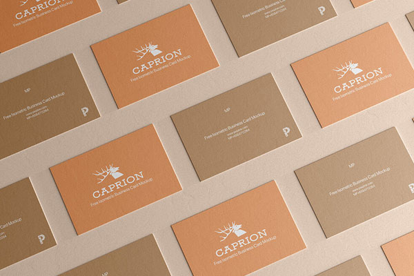 Black and White Grid Business Card Back and Front View Mockup (FREE ...