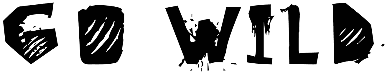 Wild Fonts - Free Download (2025) | Resource Boy