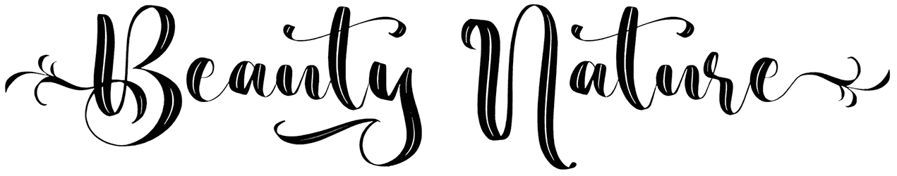 Beauty Nature Font Free Download | Resource Boy