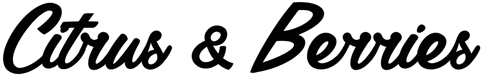 Cursive Fonts - Free Download (2025) | Resource Boy