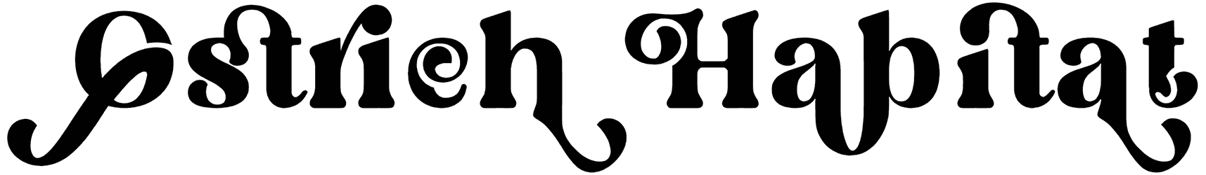 Book Cover Fonts - Free Download (2025) | Resource Boy