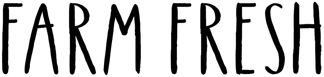 Best English Fonts Free Download (2025) | Resource Boy