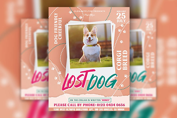 Cute Illustrated Frame Photo Lost Dog Flyer Template Free Download ...