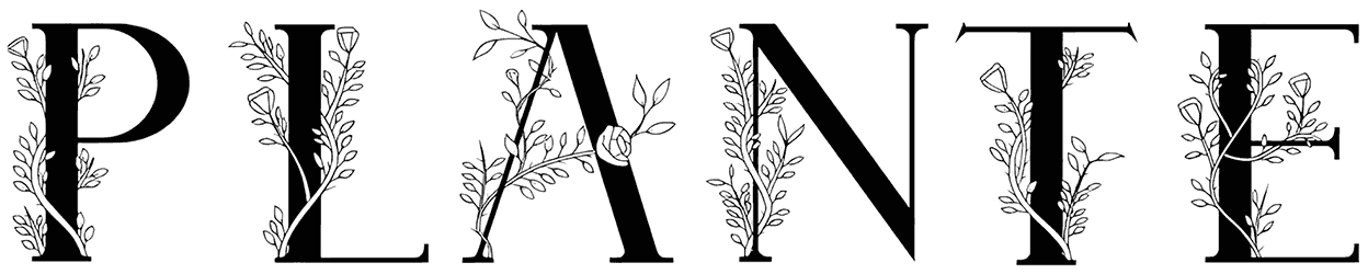 Plant Fonts - Free Download (2025) | Resource Boy