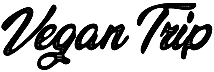 Travel Fonts - Free Download (2026) | Resource Boy