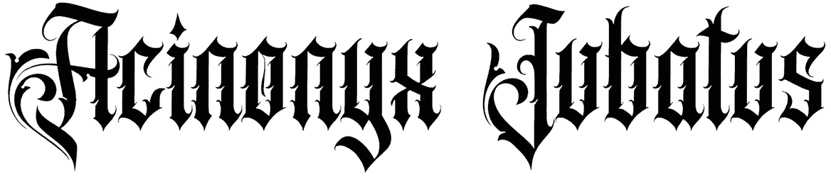 Religious Fonts - Free Download (2025) | Resource Boy