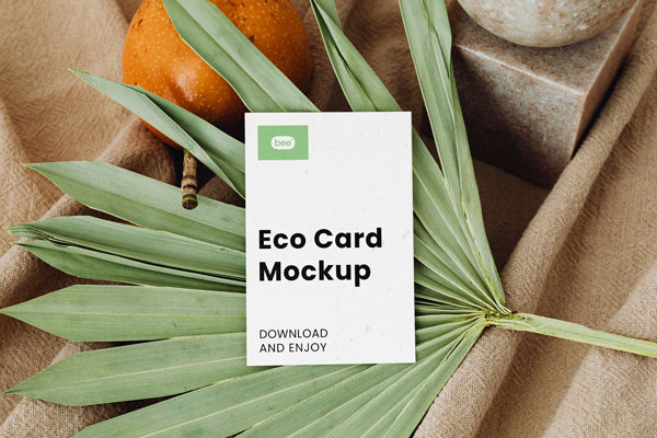 Top Sight of Business Card Mockup on Leaf Free Download | Resource Boy