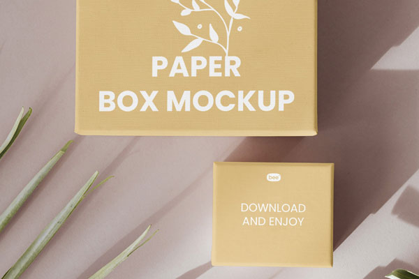 Top Sight of 2 Paper Box Mockup Free Download | Resource Boy