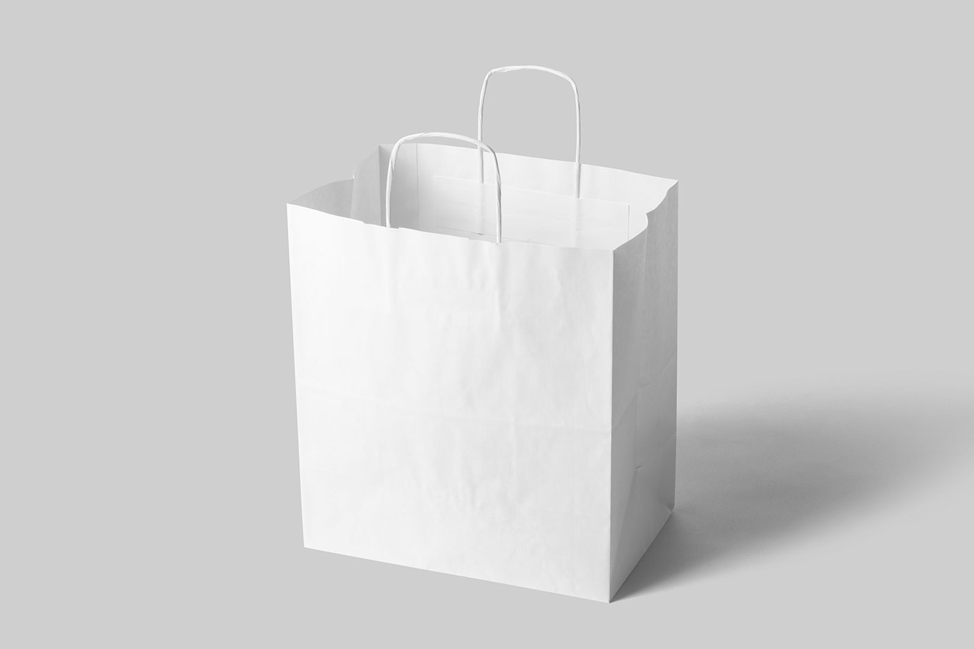 Standing Big Paper Bag Mockup Free Download | Resource Boy