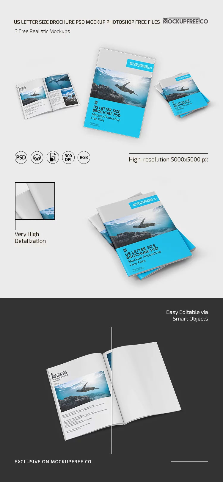 US Letter Size Brochure Mockup Free Download | Resource Boy