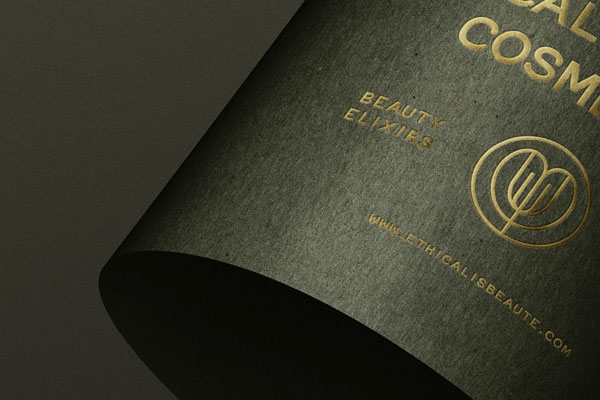 Logo on Rolled Paper Mockup Free Download | Resource Boy